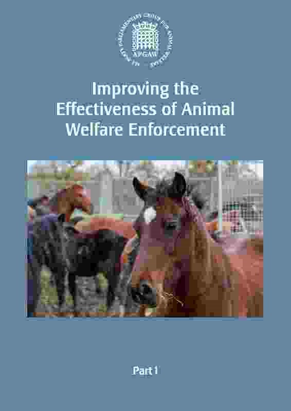 Improving the Effectiveness of Animal Welfare Enforcement – Cavalier ...