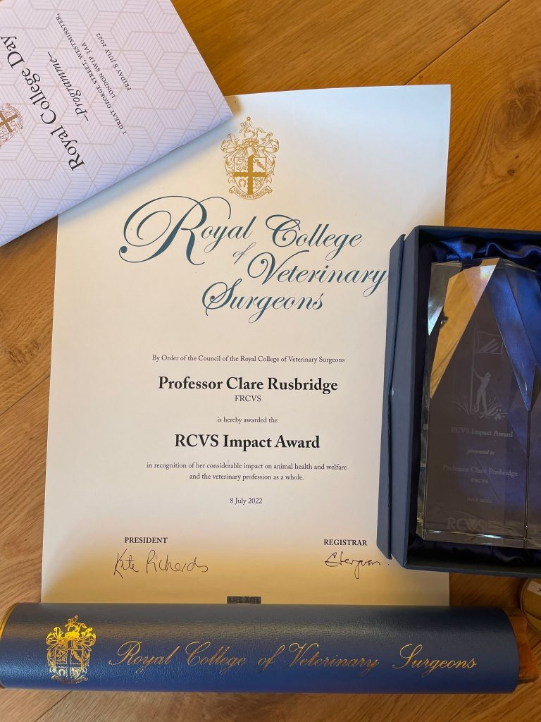 Clare Rusbridge Wins RCVS Impact Award – Cavalier Matters