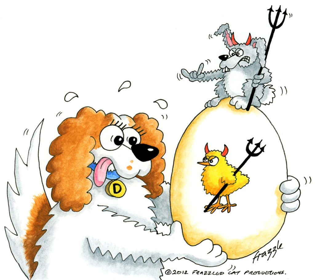 General Tips – Cavalier Matters