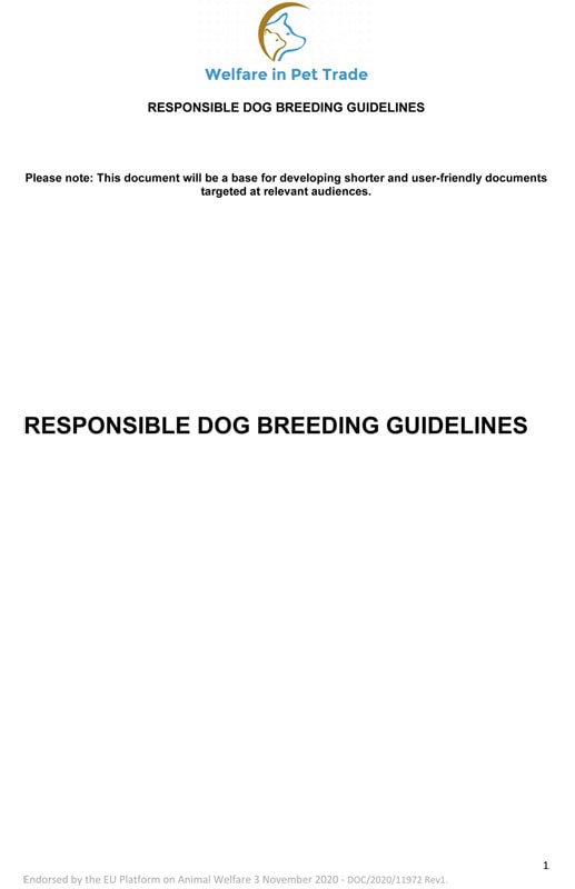 Responsible Dog Breeding Guidelines 2020 – Cavalier Matters