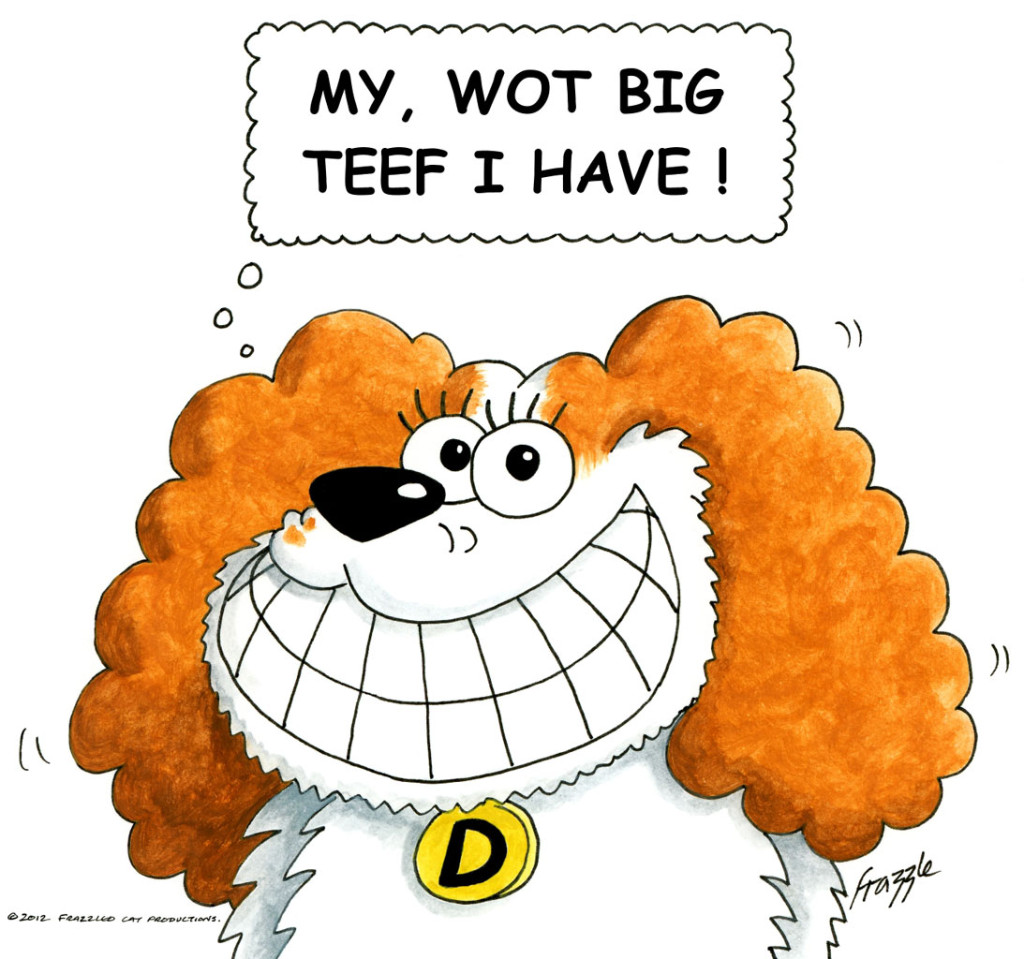 Furry Fun Facts – Cavalier Matters